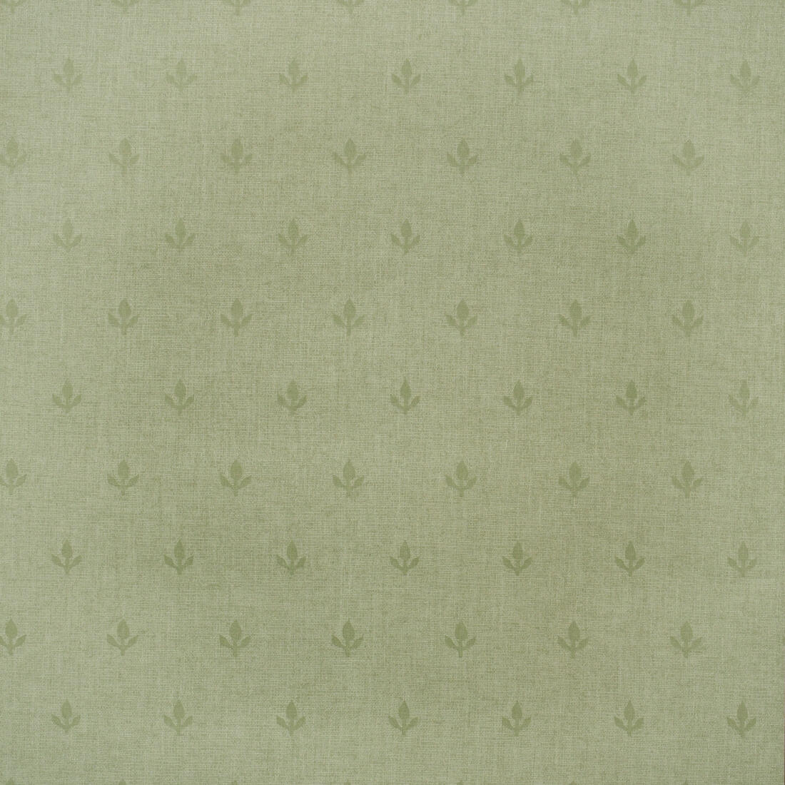 Crocus - Leaf wallpaper | Arboretum | Andrew Martin