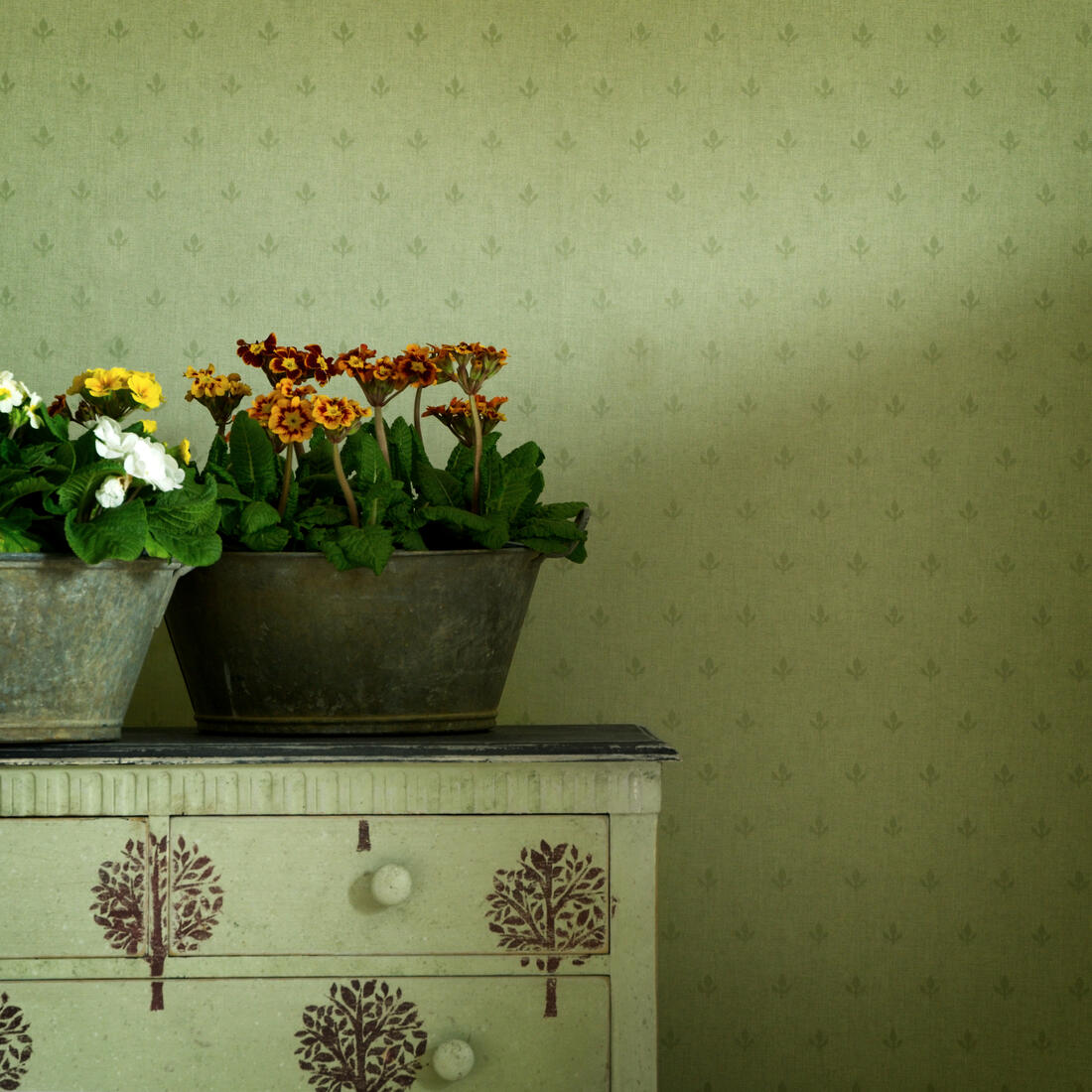 Crocus - Leaf wallpaper | Arboretum | Andrew Martin