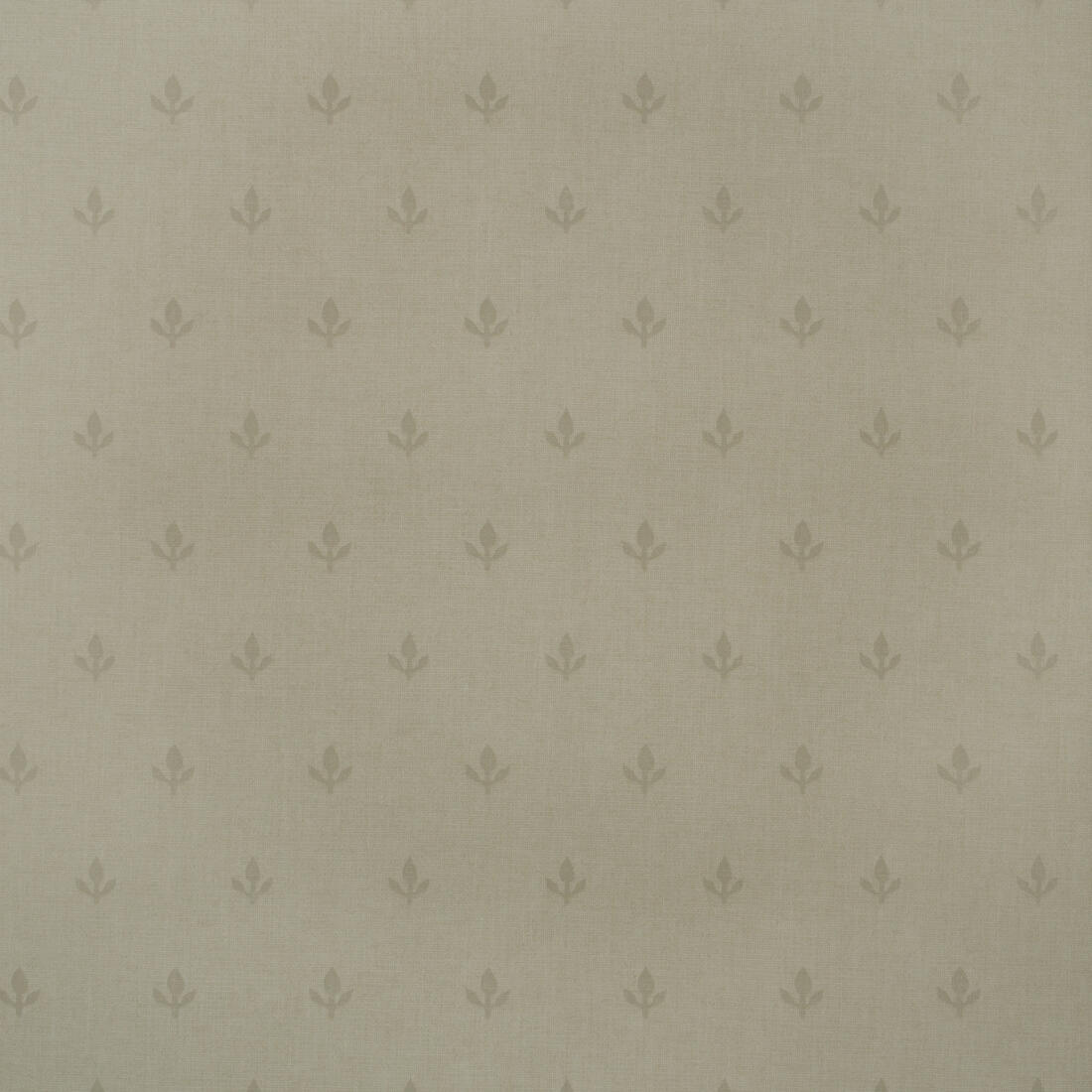 Crocus - Stone wallpaper | Arboretum | Andrew Martin