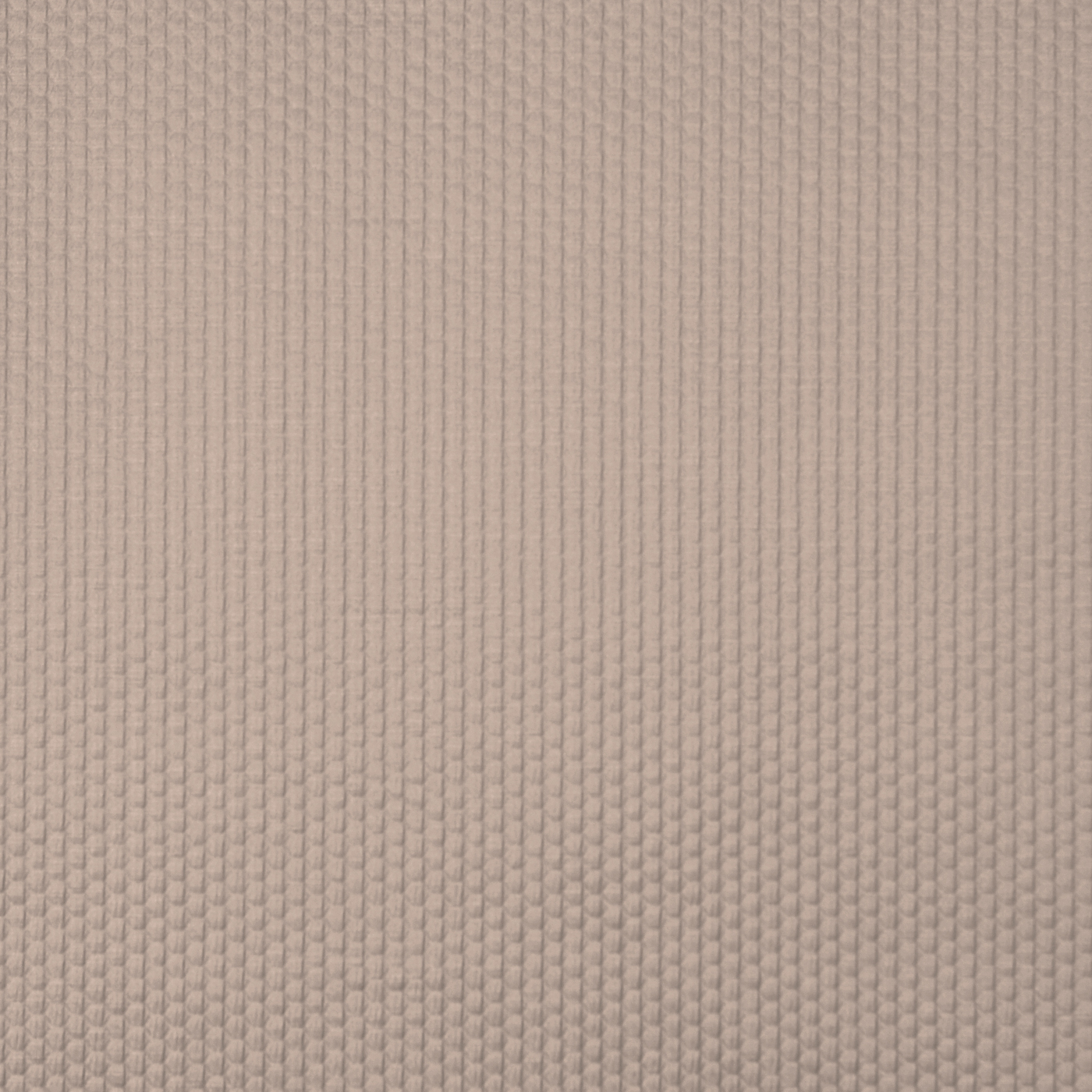 Emboss - Shell fabric | Fusion | Prestigious Textiles