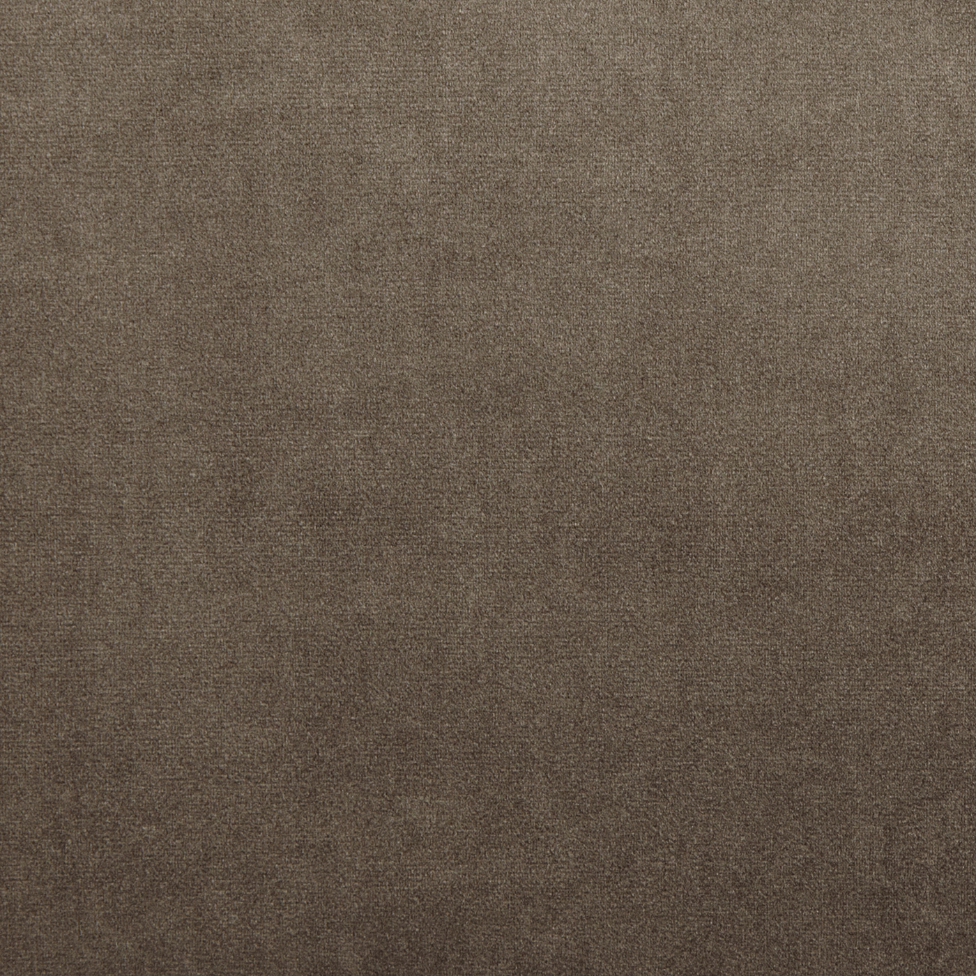 Velour - Camel fabric | Velour | Prestigious Textiles