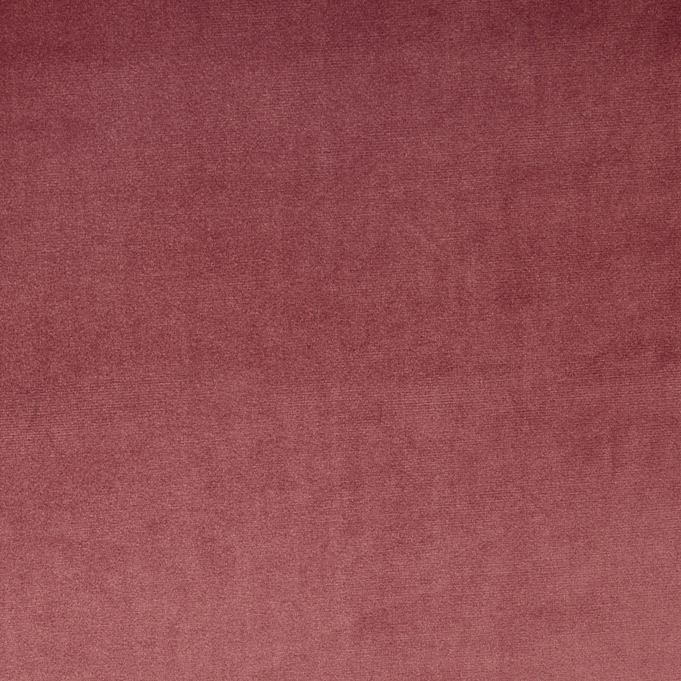 Velour - Rosebud fabric | Velour | Prestigious Textiles