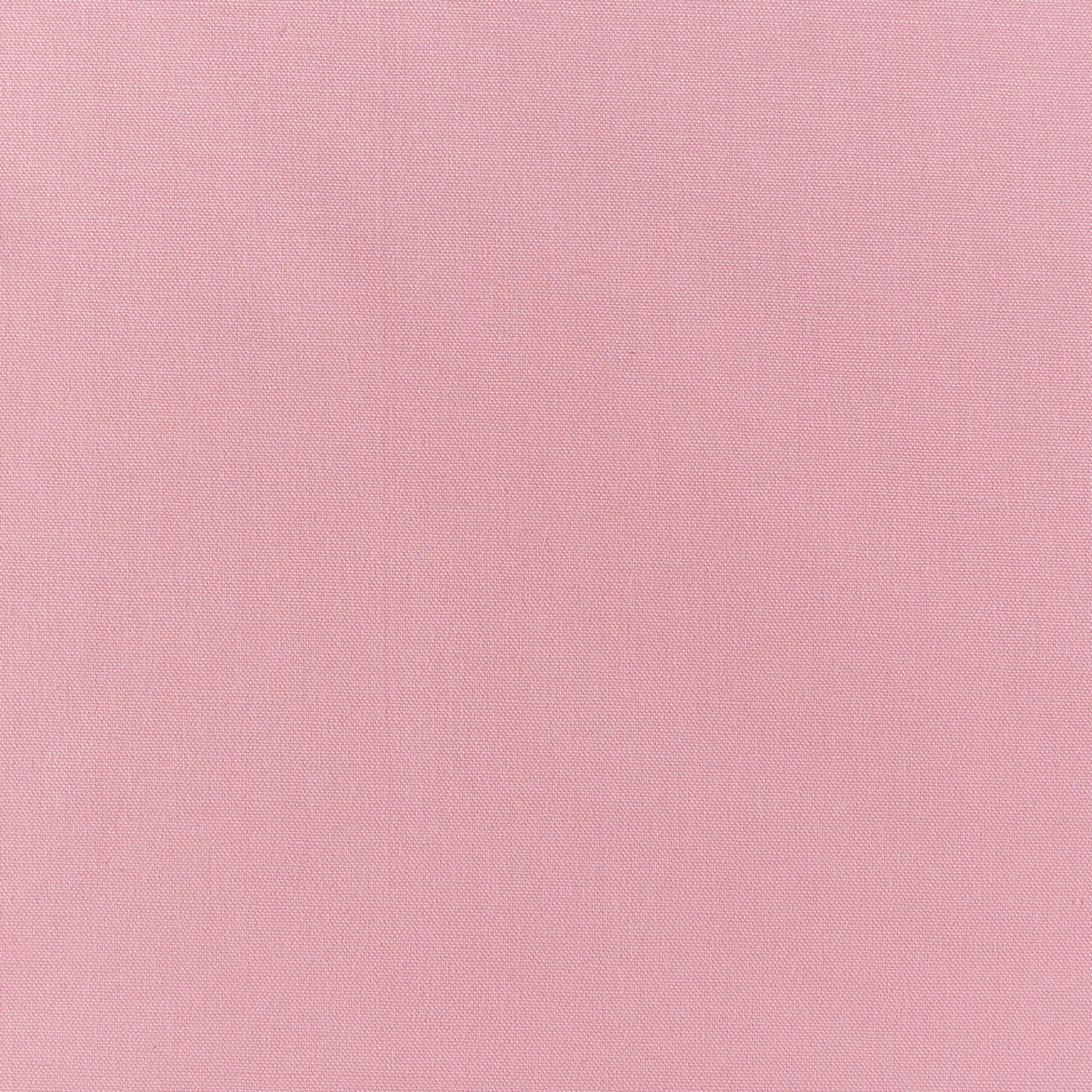 Style - Bon Bon fabric | Style | Prestigious Textiles