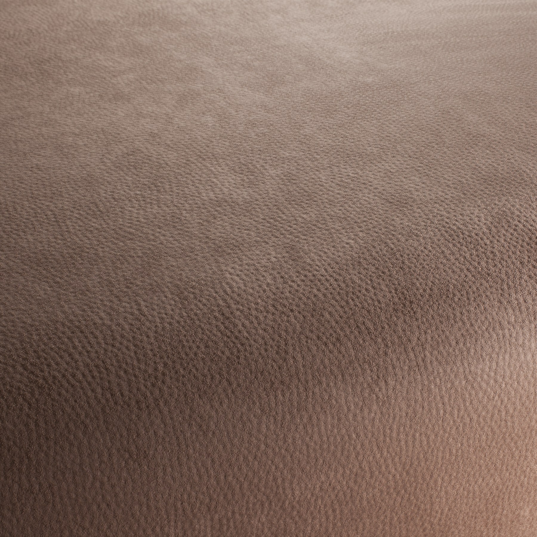 Legendary - 022 fabric | Grasse - Scent Of Nature | Carlucci