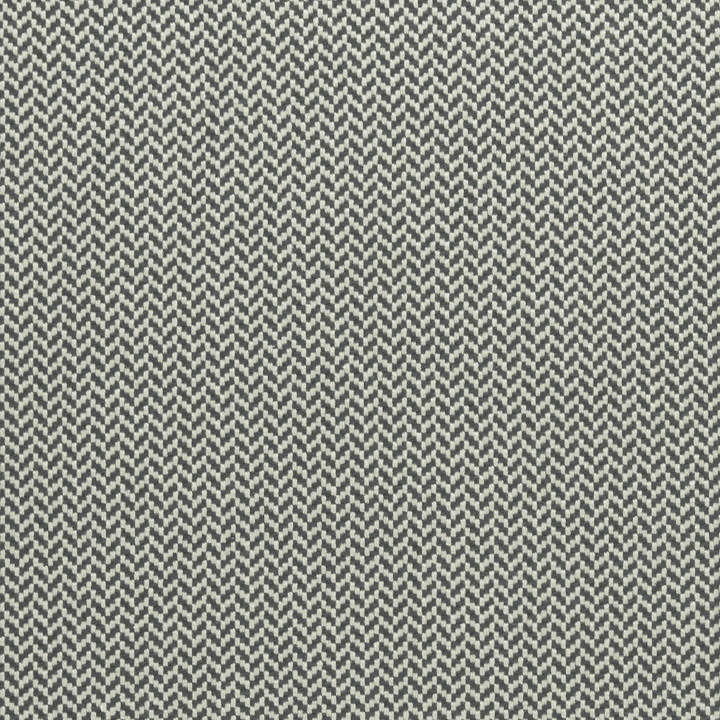 Zalika - Charcoal fabric | Amara | Clarke & Clarke