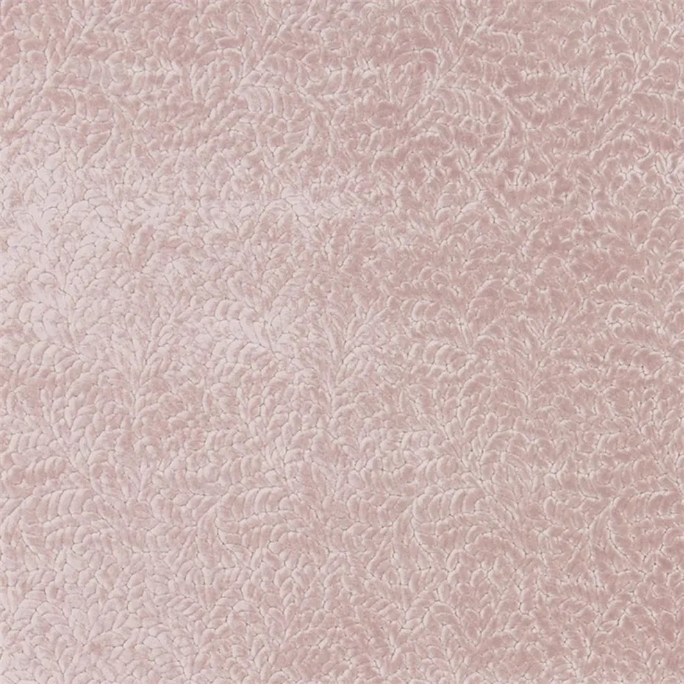 Cartouche - Blossom fabric | Cartouche | Designers Guild
