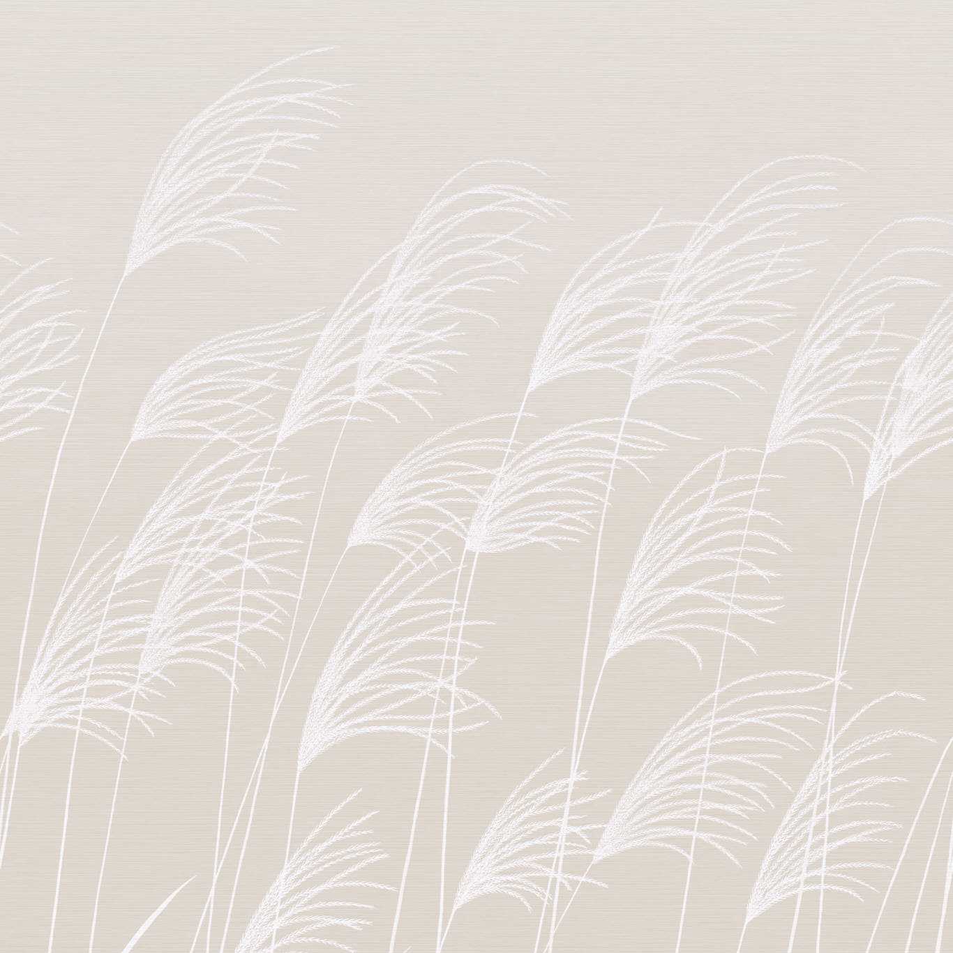Miscanthus Wallpaper - Parchment/Frost wallpaper | Kasuri Wallpapers | Harlequin