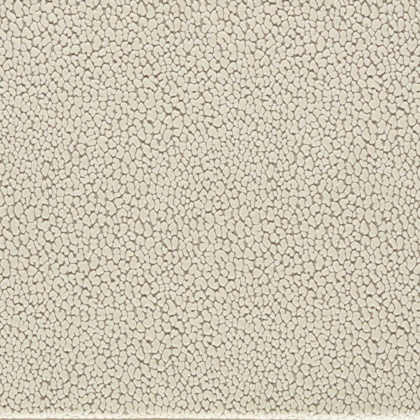 Lacuna - Chalk fabric | Reflect Velvets | Harlequin