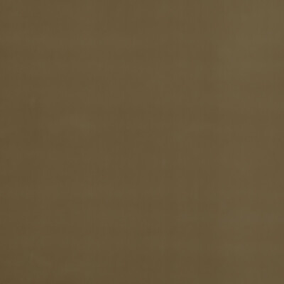 Baker House Velvet - Camel fabric | House Velvet | GP & J Baker