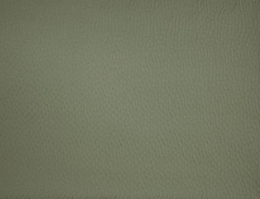 Isla - Fern fabric | Textures II | Ashley Wilde
