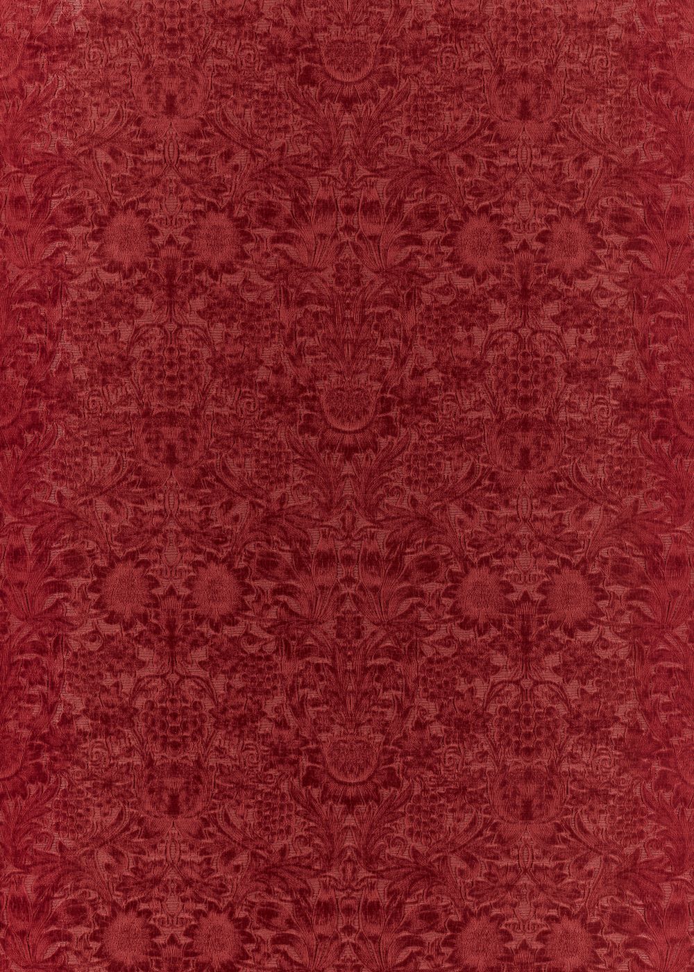 Sunflower Caffoy Velvet - Barbed Berry fabric | Wardle Velvets | Morris ...