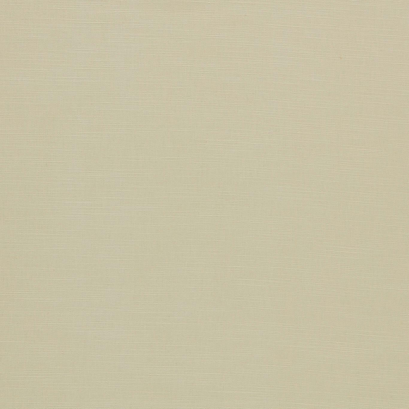 Paradiso - Natrual fabric | Paradiso | Clarke & Clarke