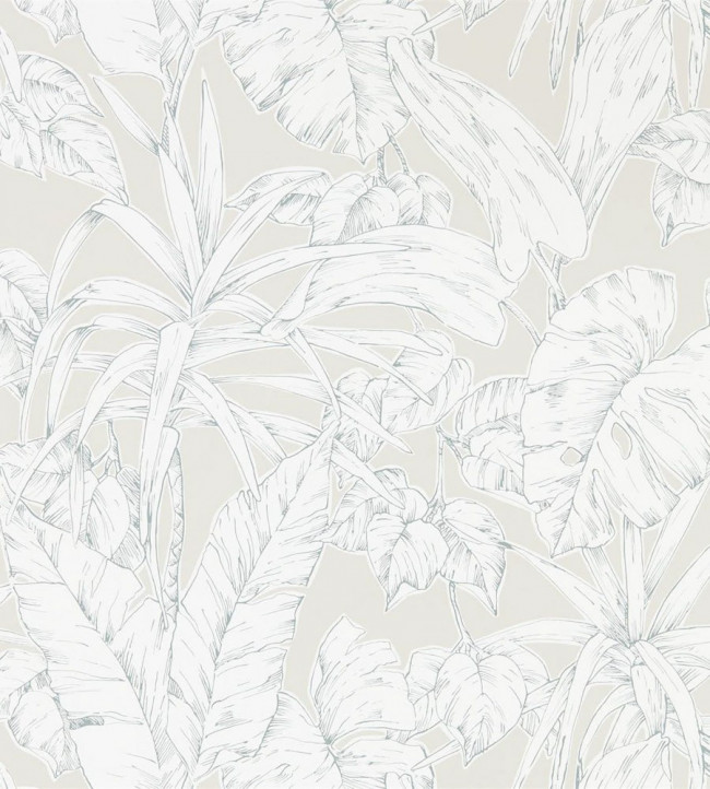 Parlour Palm - Raffia wallpaper | Zanzibar Wallpaper | Scion