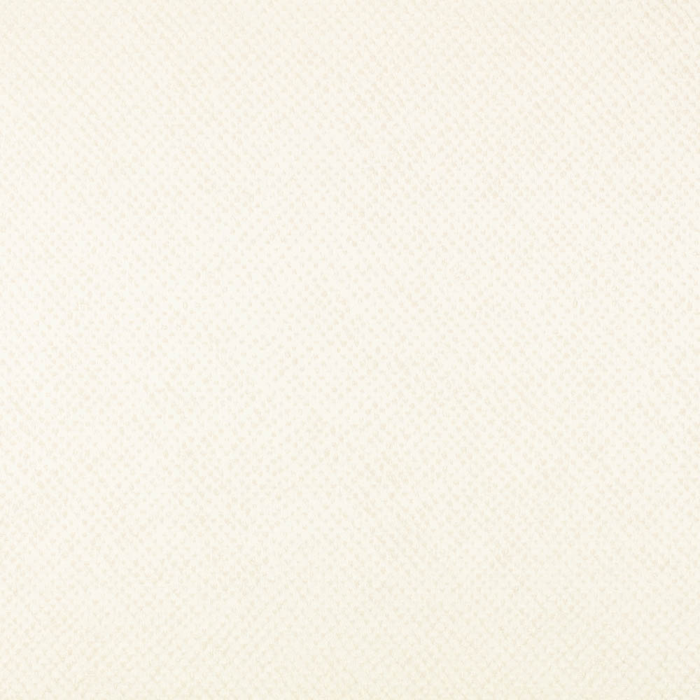 Roxy - Moonbeam fabric | Mercer | Zinc Textiles