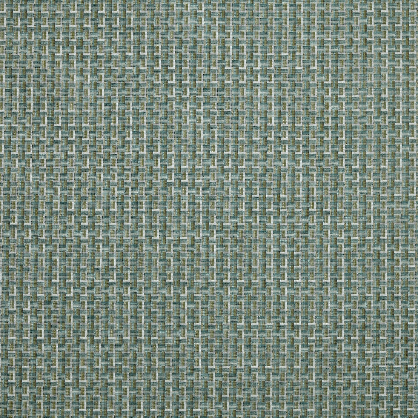 Temika - Cactus fabric | Tambo | Prestigious Textiles
