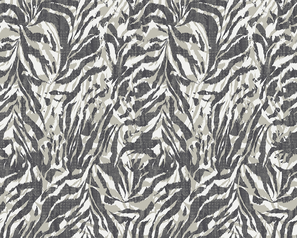 Zebra - Sable wallpaper | Wild | Ohpopsi