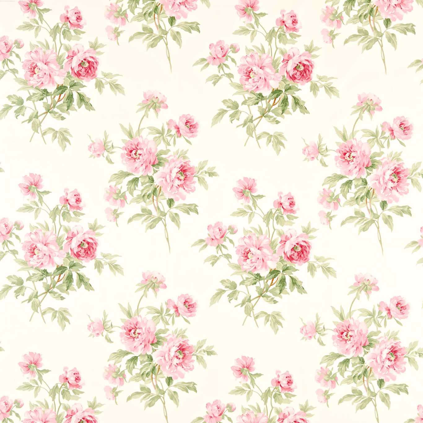 Adele - Rose/Cream wallpaper | Sanderson One Sixty Wallpapers | Sanderson