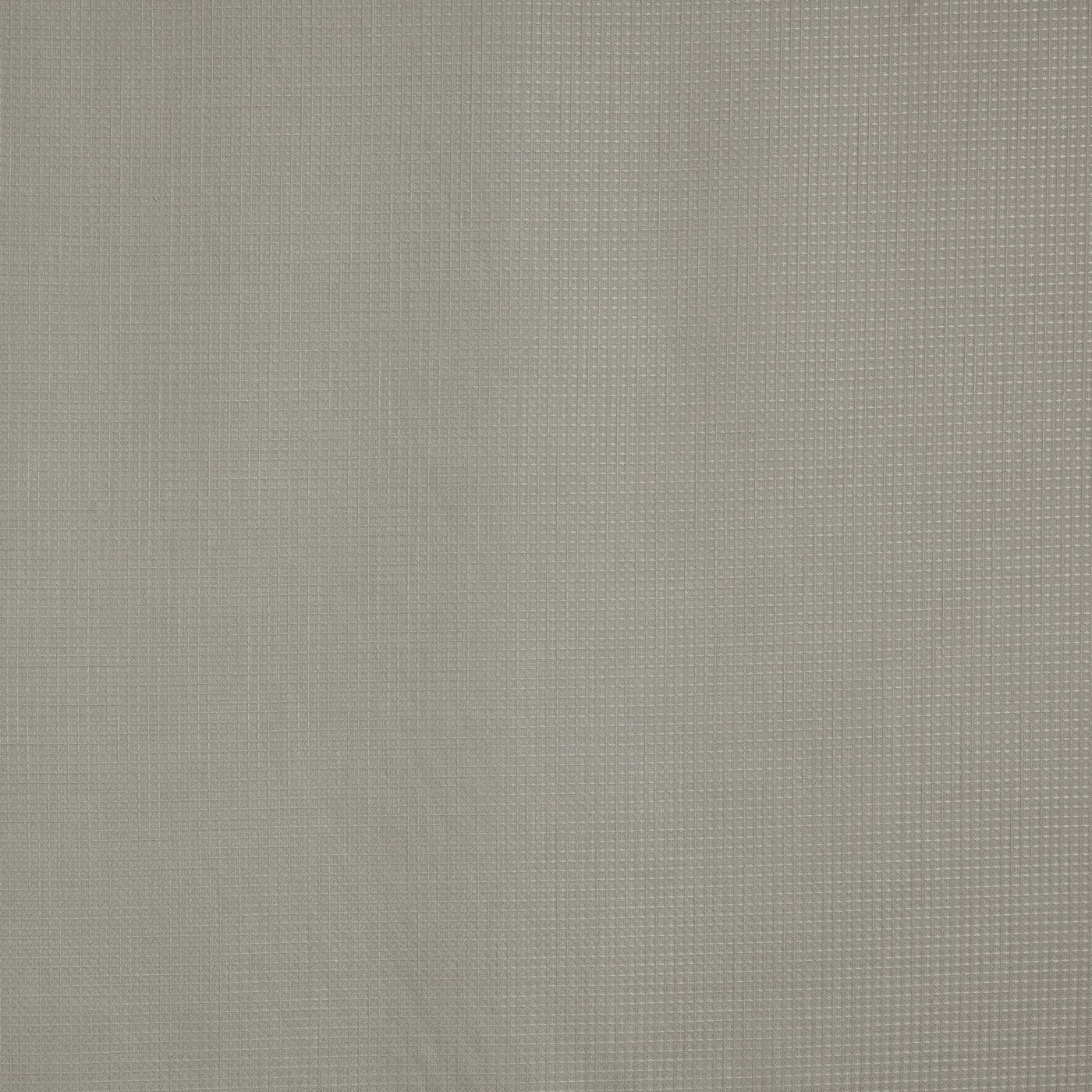 Caro - Fossil fabric | Minimalist | Prestigious Textiles