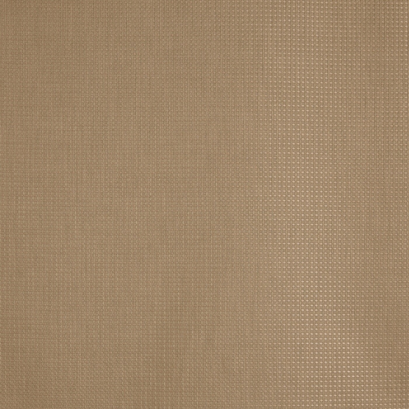 Caro - Honey fabric | Minimalist | Prestigious Textiles