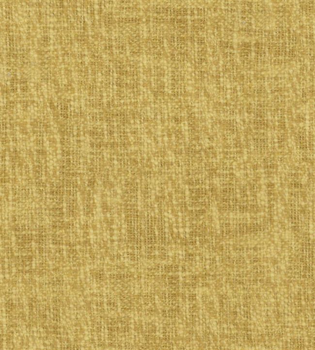 Cavazzo - Mustard fabric | Cavasso | Designers Guild