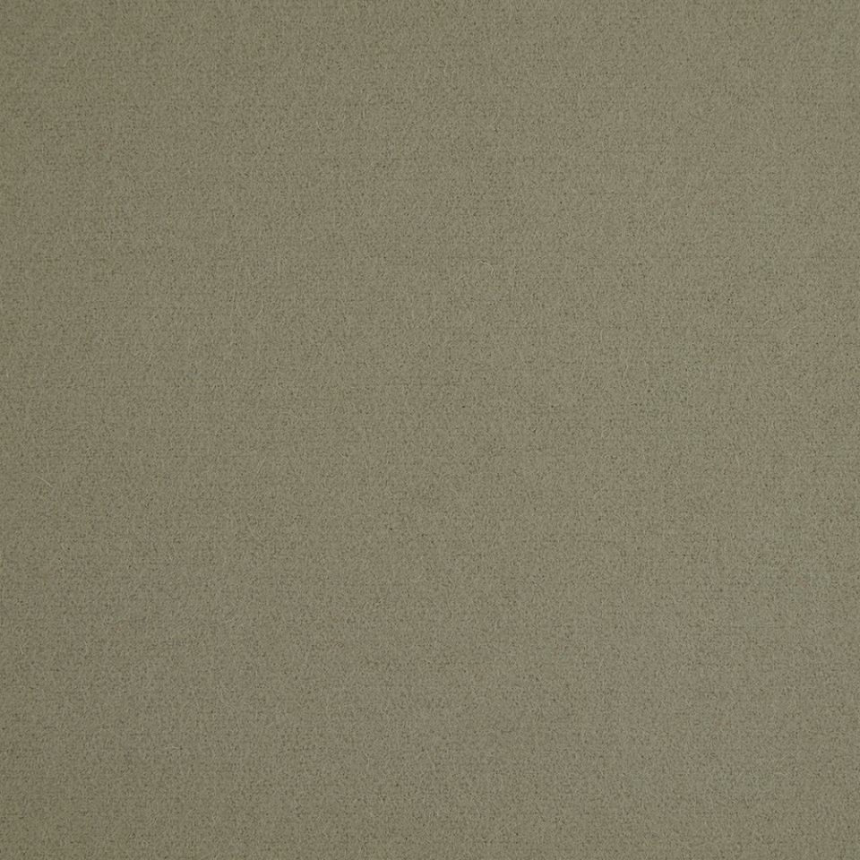 Spectrum - Sage fabric | Spectrum | Abraham Moon