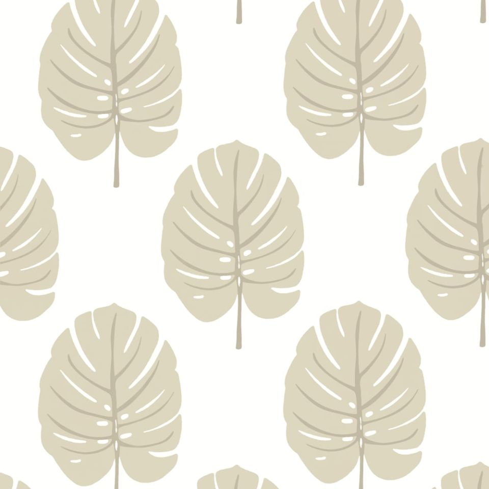 Monstera - Beige wallpaper | Palm Grove Wallpapers | Thibaut