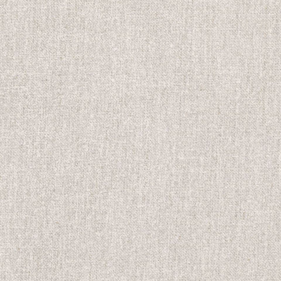 Conch - Moonbeam fabric | Endless Summer | Zinc Textiles