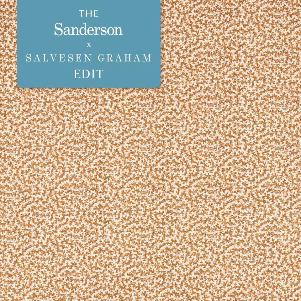 Truffle - Rowan Berry fabric | Sanderson X Salvesen Graham | Sanderson
