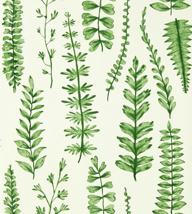 Ferns - Juniper wallpaper | Garden of Eden Wallpaper | Scion