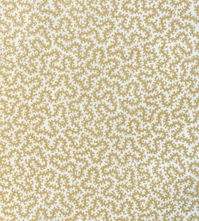 Petra - Popcorn fabric | With Complements | Ian Sanderson