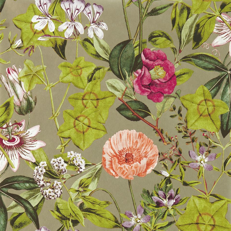 Passiflora - Mulberry/Gilver wallpaper | Exotica II | Clarke & Clarke