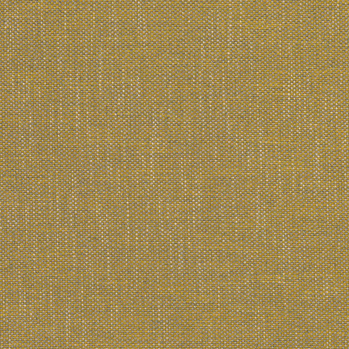 Chrome - Ochre fabric | Arco Textures | Kirkby Design