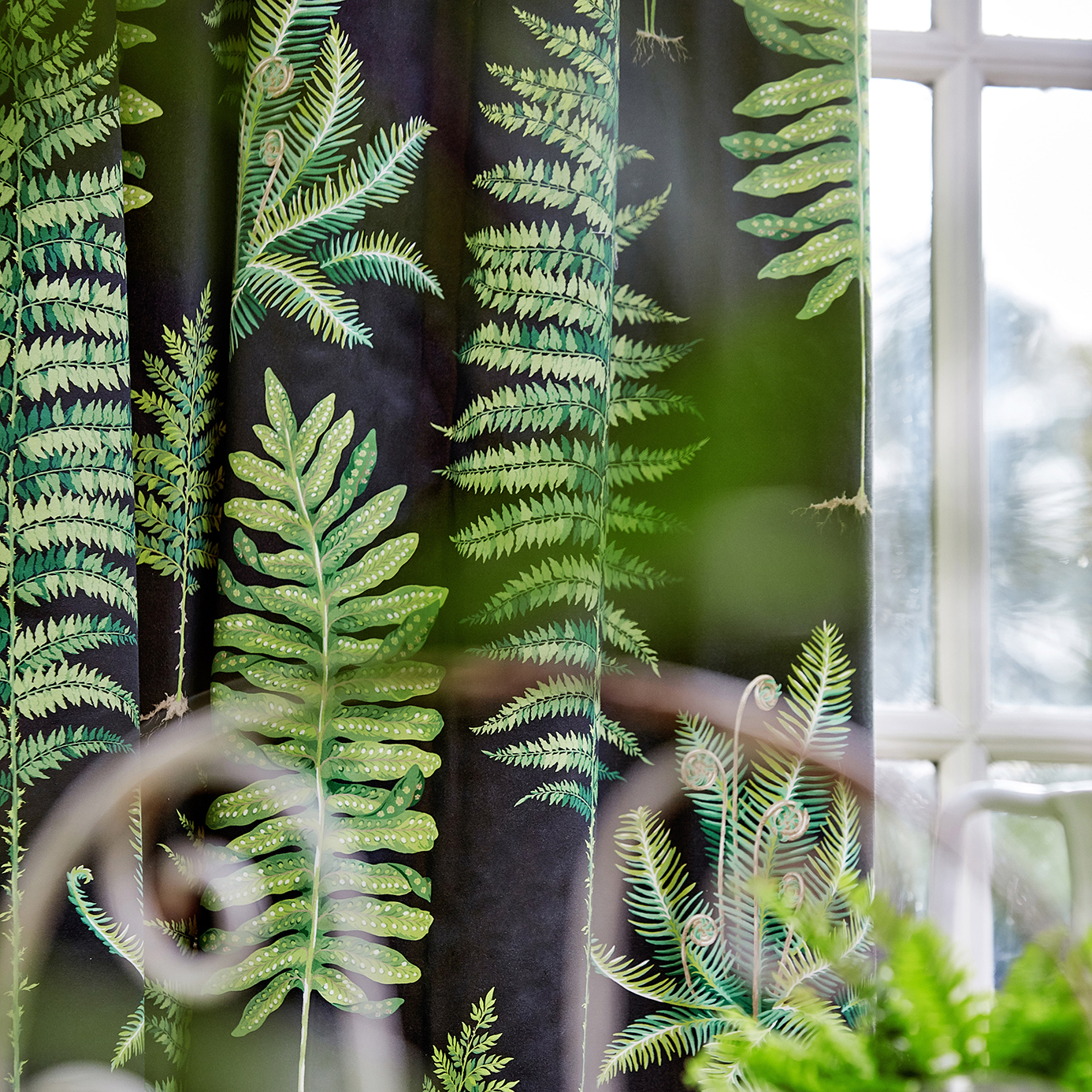 Fernery - Botanical Green/Charcoal fabric | Glasshouse Fabrics | Sanderson