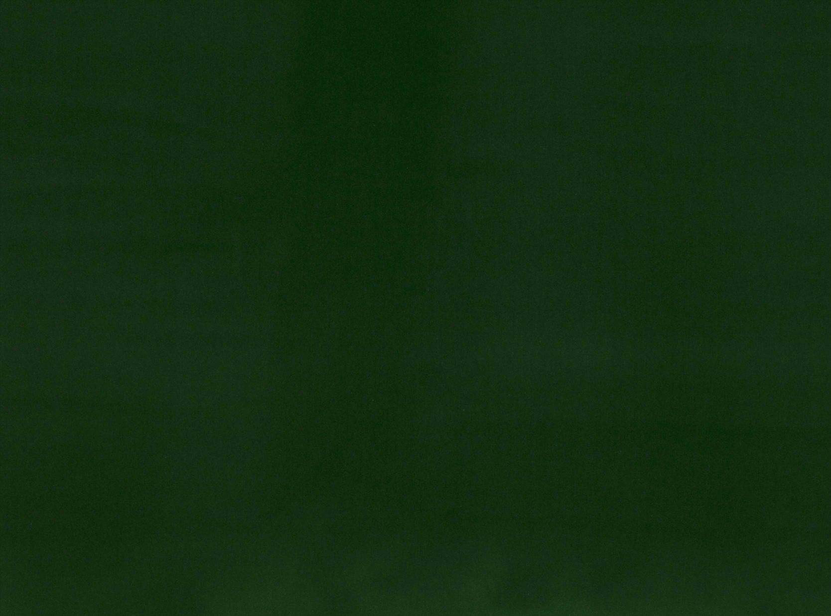 Forenza - Forest fabric | Forenza | Romo