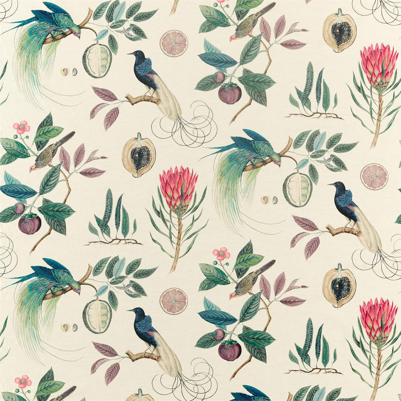 Paradesia - Fig/Indigo fabric | Glasshouse Fabrics | Sanderson