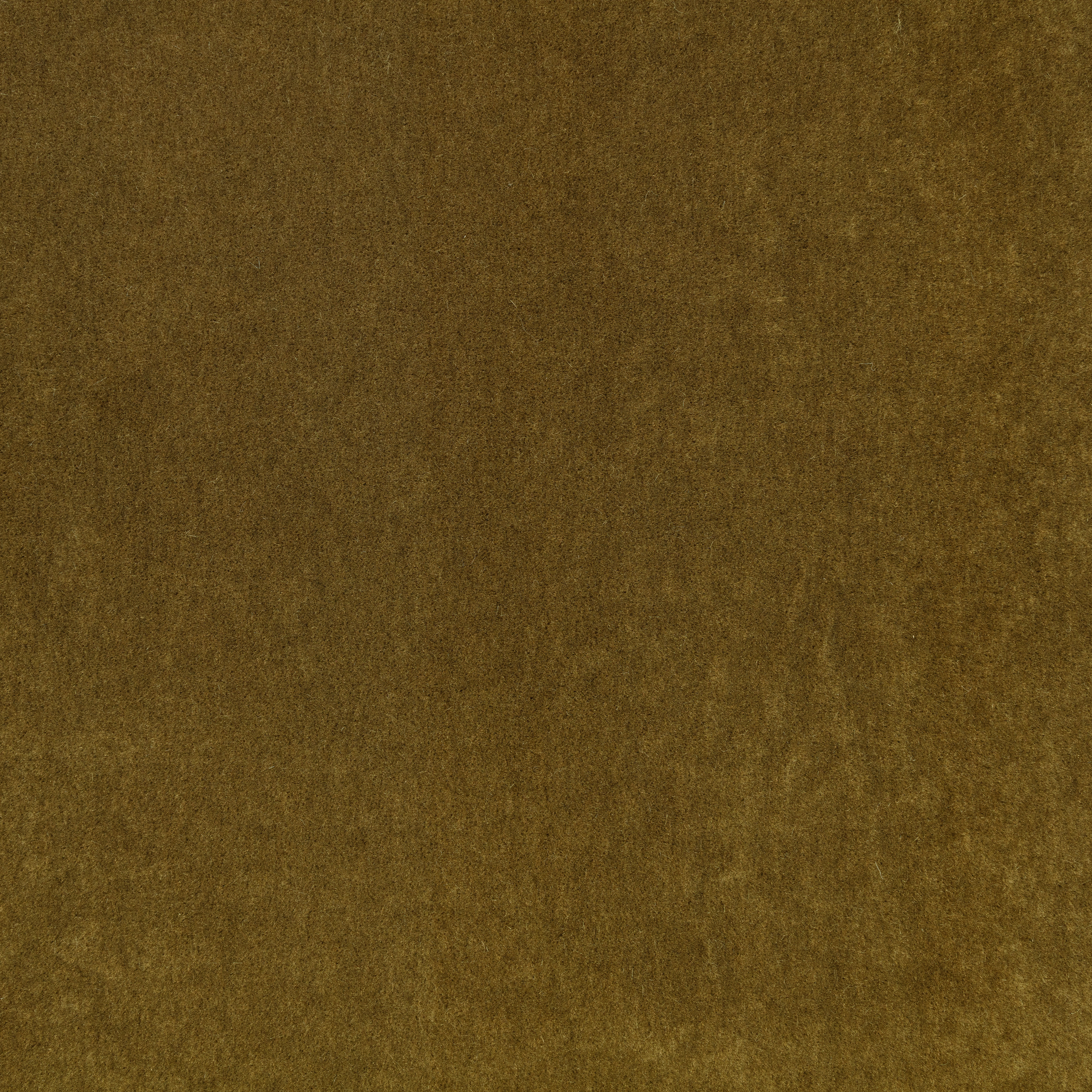 Plush - Cumin fabric | Plush II | Mark Alexander