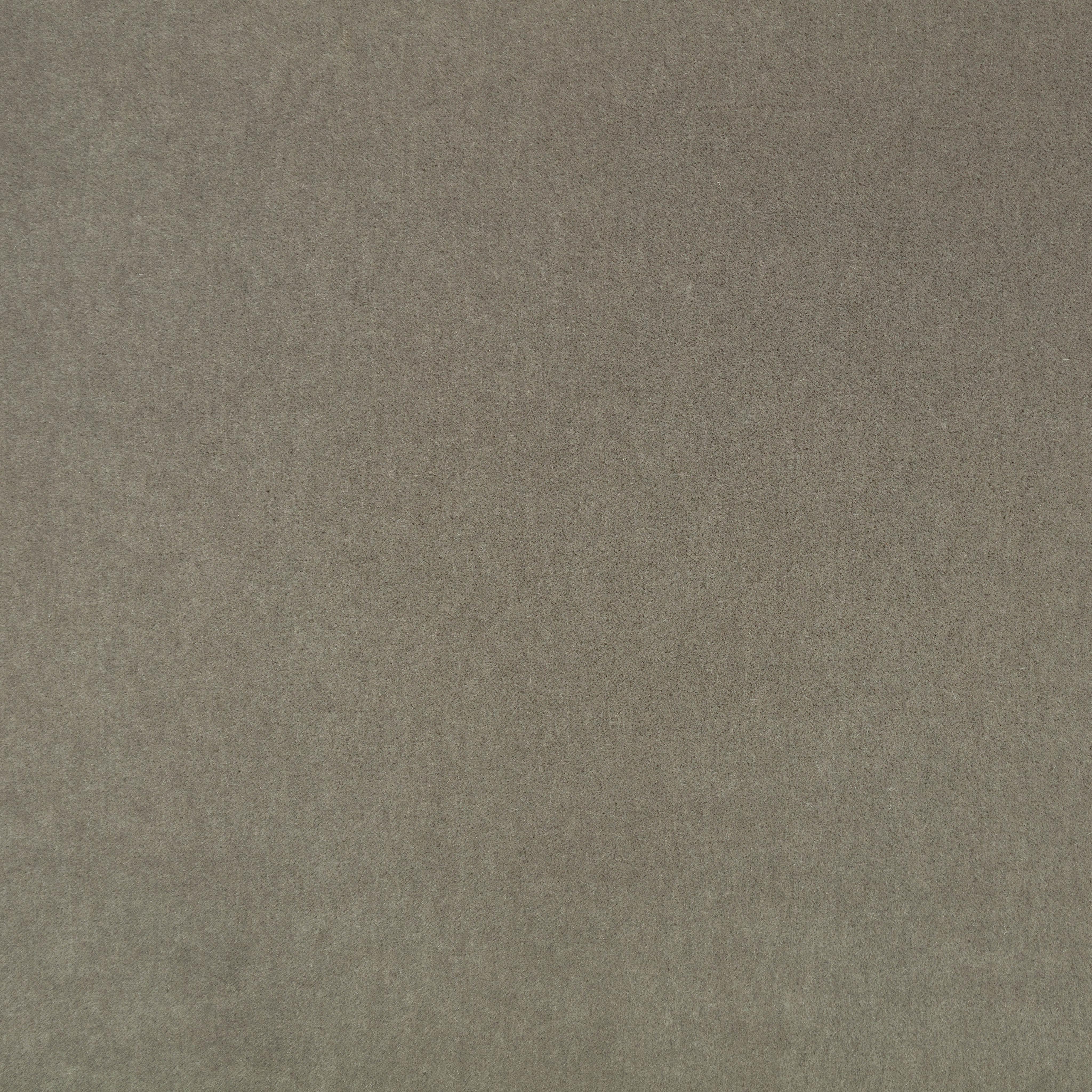 Plush - Roman fabric | Plush II | Mark Alexander