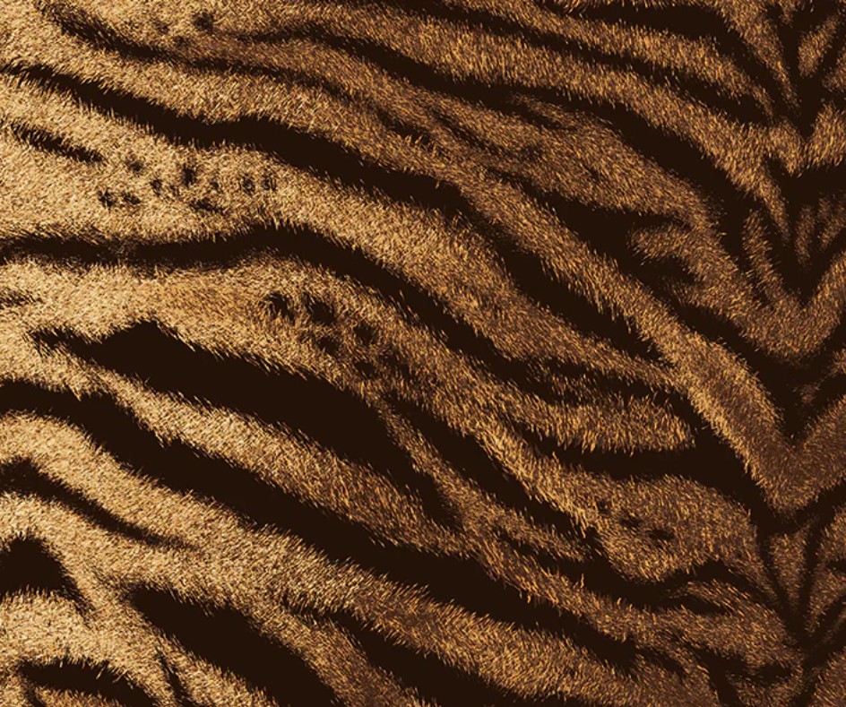 Tiger - Caramel 13 fabric | Safari | Arley House