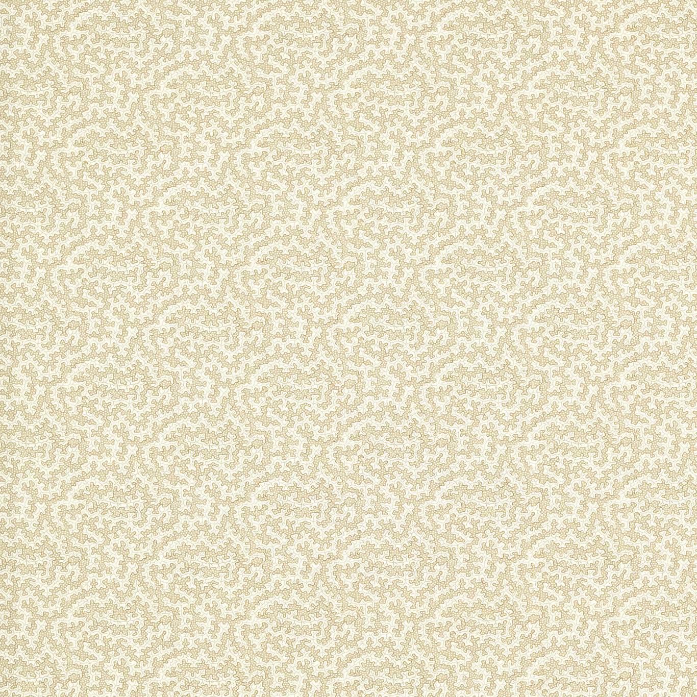 Truffle - Sand Dollar fabric | Indoor Outdoor Prints | Sanderson