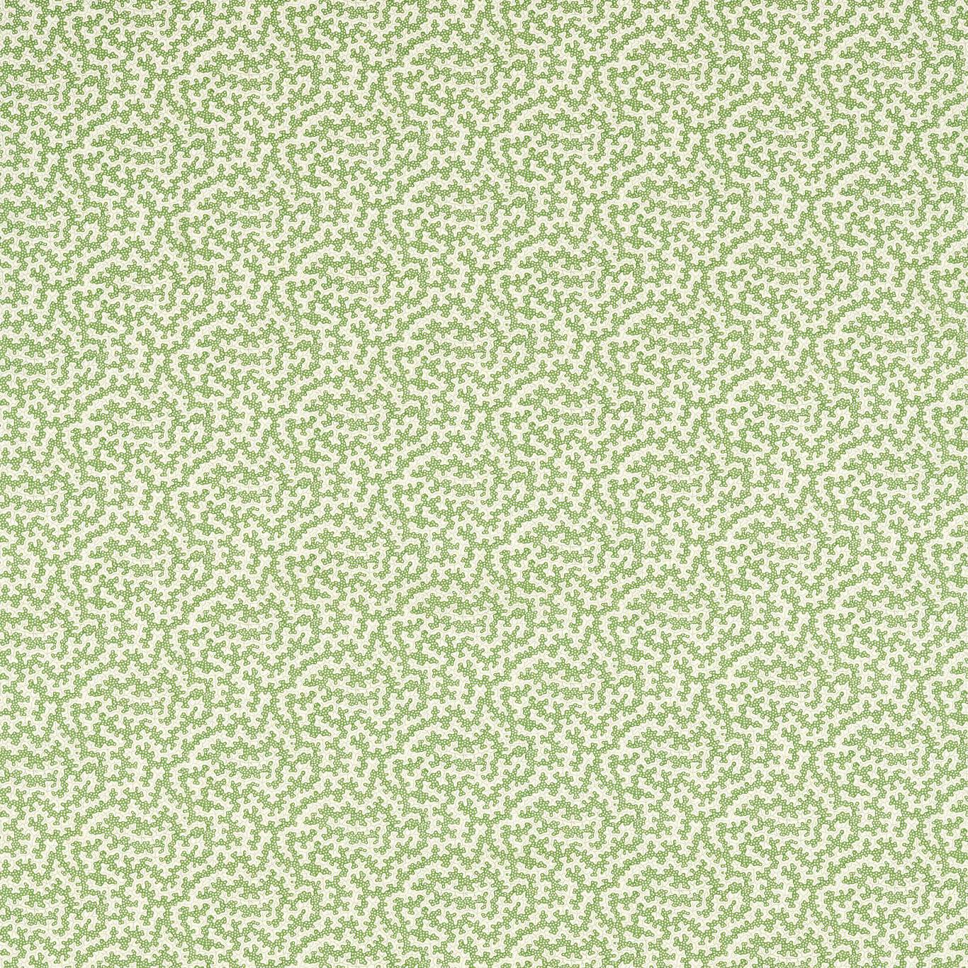 Truffle - Sap Green fabric | Sanderson X Salvesen Graham | Sanderson