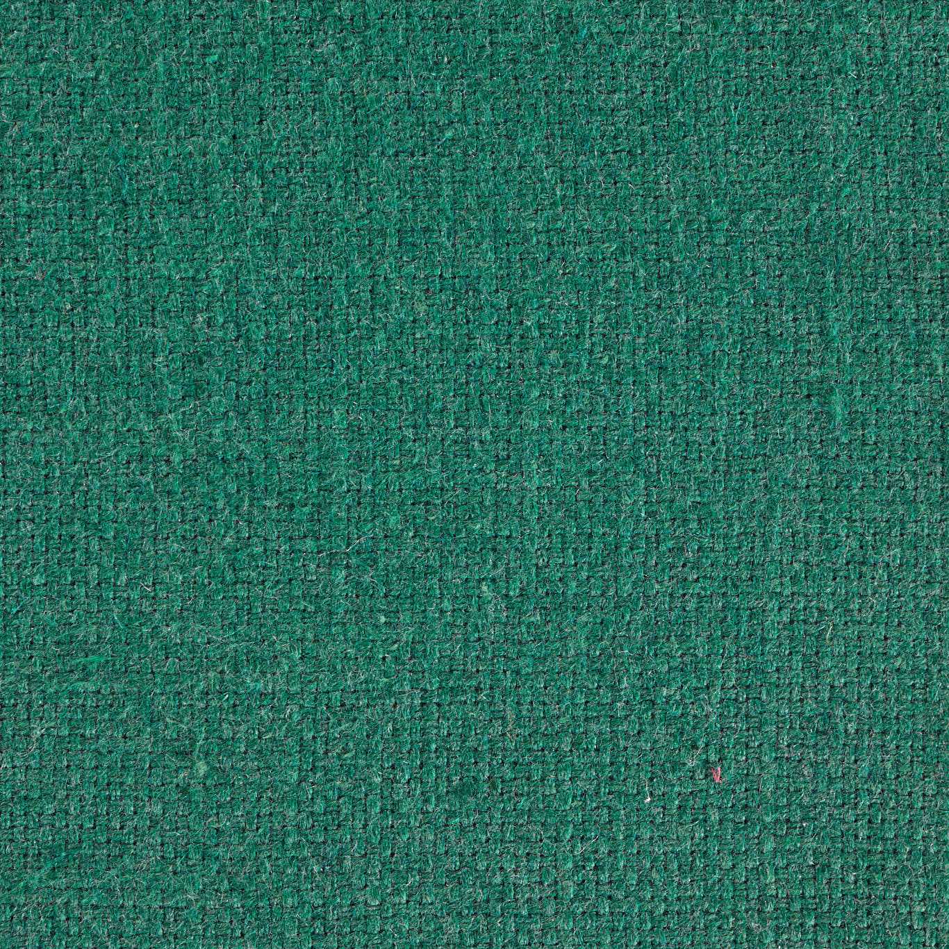 Tuscany II - Evergreen fabric | Sanderson X Salvesen Graham | Sanderson
