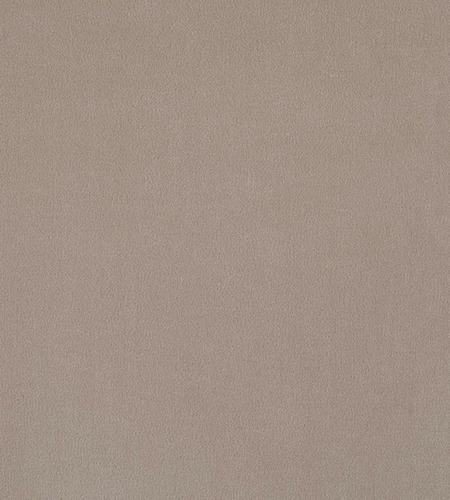 Plush Velvet - Taupe fabric | Plush Velvet | Warwick